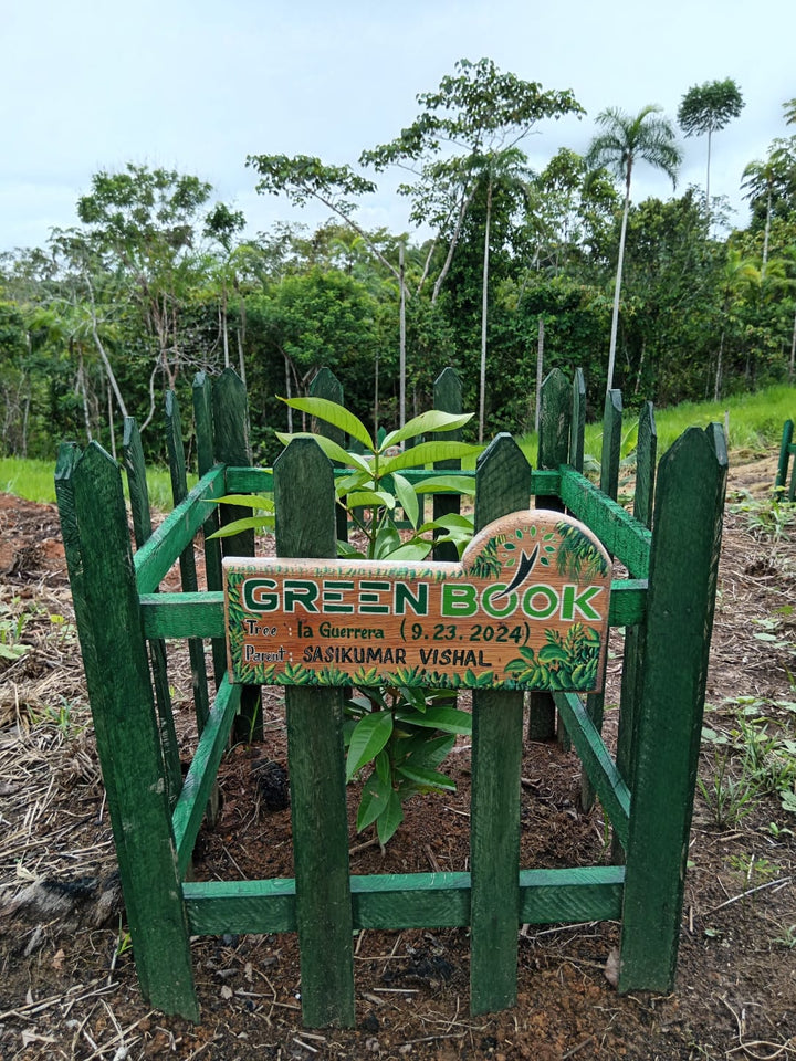 Plant a Life in Amazon Rainforest | Reforestation & Sustainable Living ...